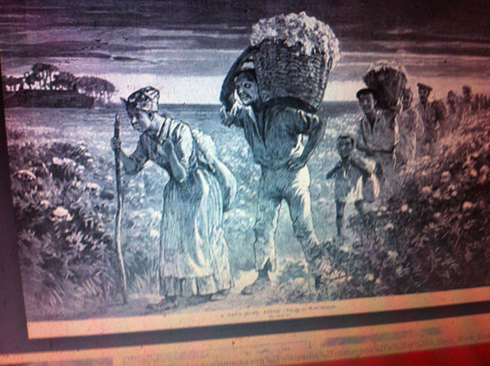 THE BLACK SOCIAL HISTORY:: BLACK SOCIAL HISTORY : A PLANTATION ECONOMY ...