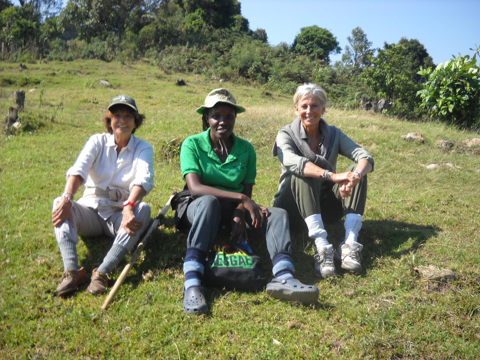 DJ Sonidos de la Jungla: noviembre 2012