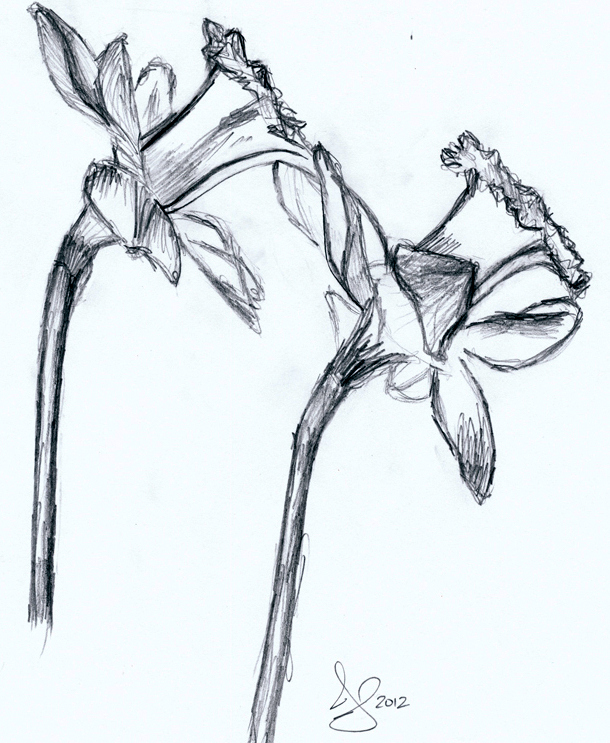 Butterfly Nectar: Drawing from life (Free Tutorial)