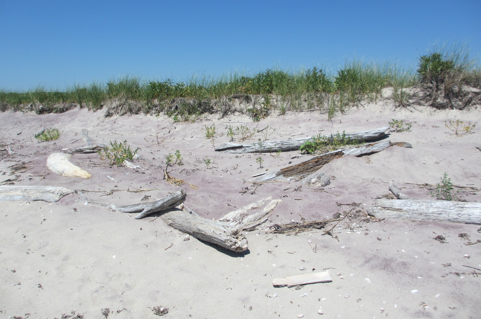 Reluctant Rebel: Connecticut's Well Kept Secret Beach