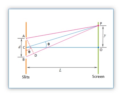 Physical Optics: Young's Double Slit Experiment - Division of the ...