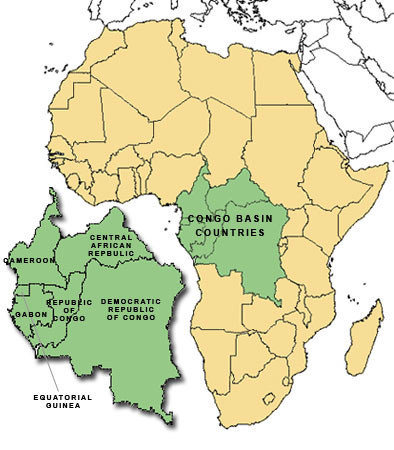 Tropical Rainforest of the Congo