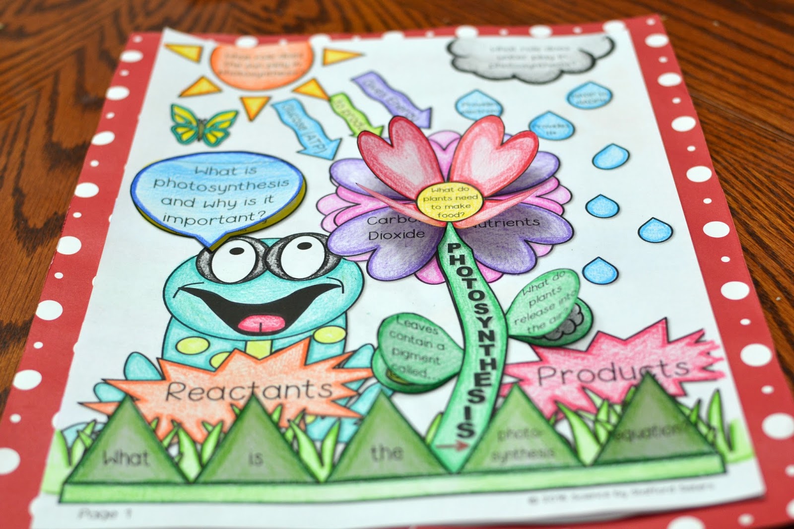 Photosynthesis Leaf Foldable