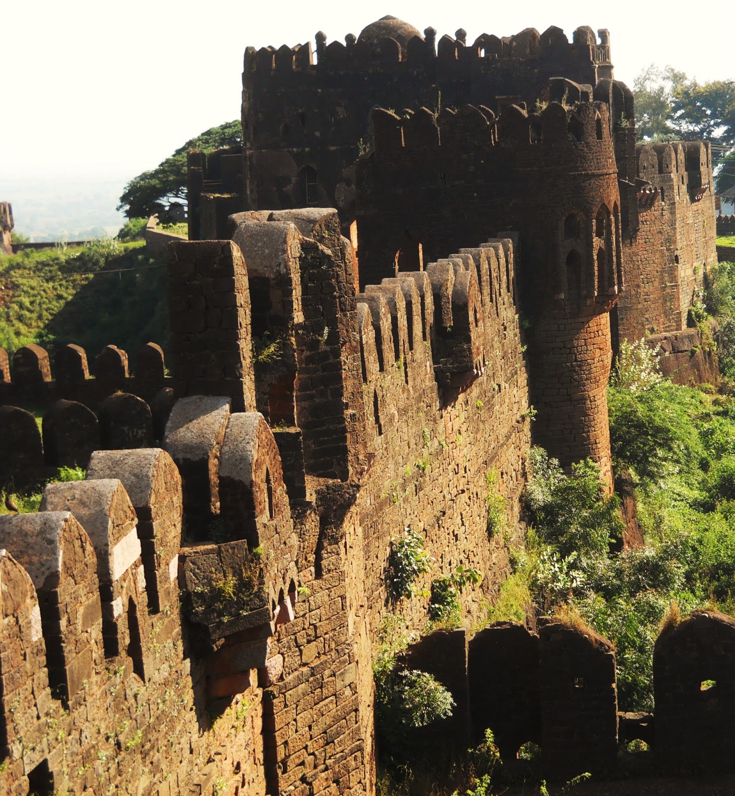 evenfewergoats: Bidar