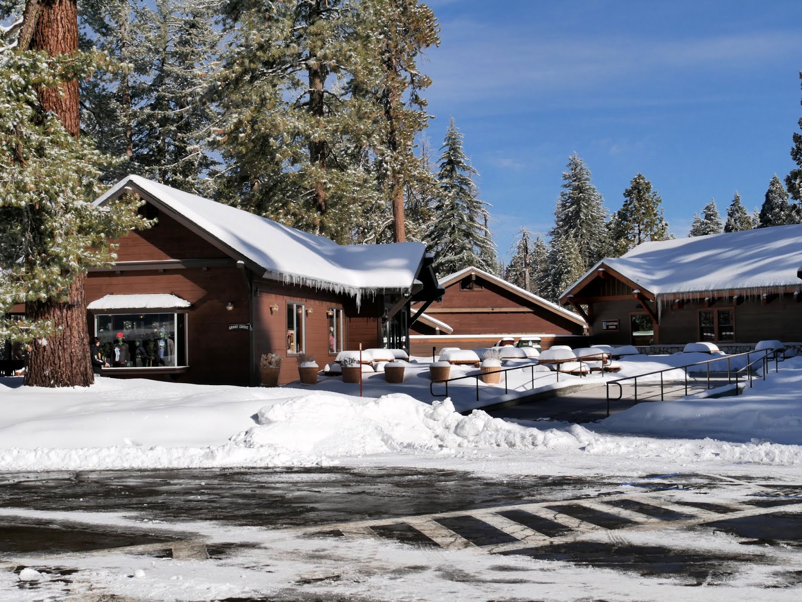 American Travel Journal: Grant Grove Village - Kings Canyon National Park