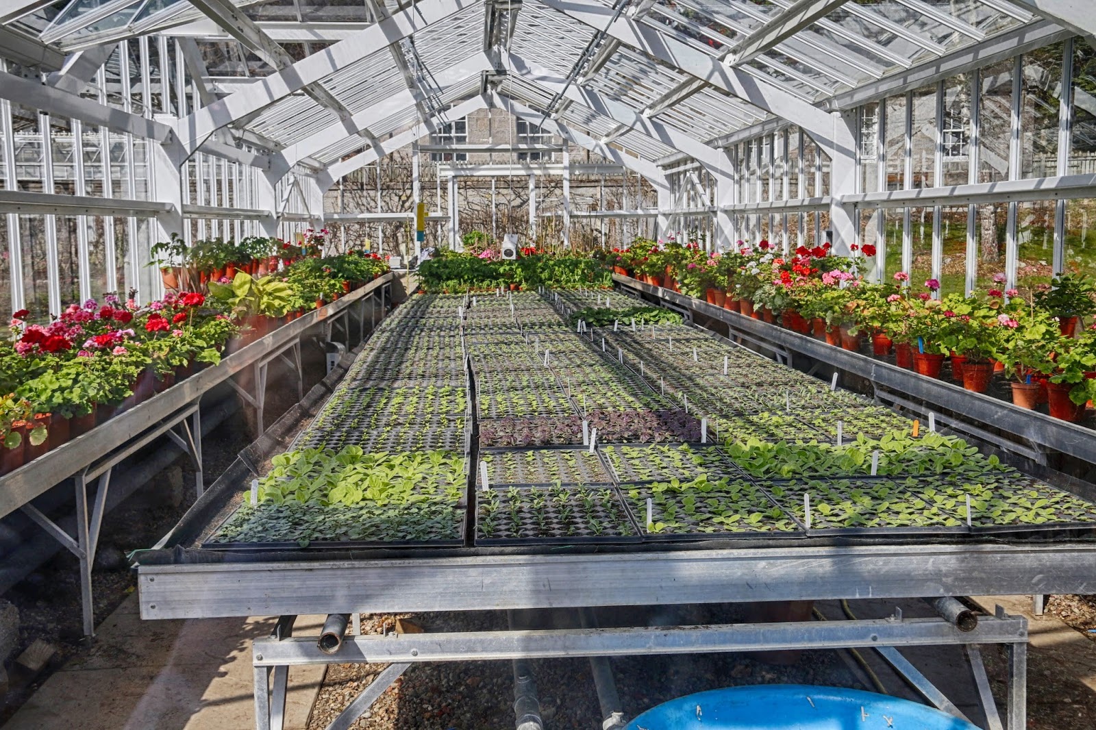 JibberJabberUK: Balmoral Castle Gardens