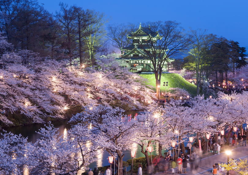 Bienvenue au Japon: Le Hanami - Sous les fleurs de cerisiers