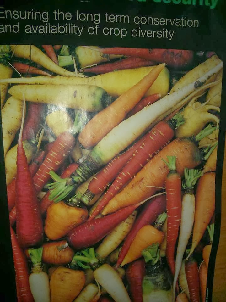 Banzi wa Moro: Aina nyingi za karoti