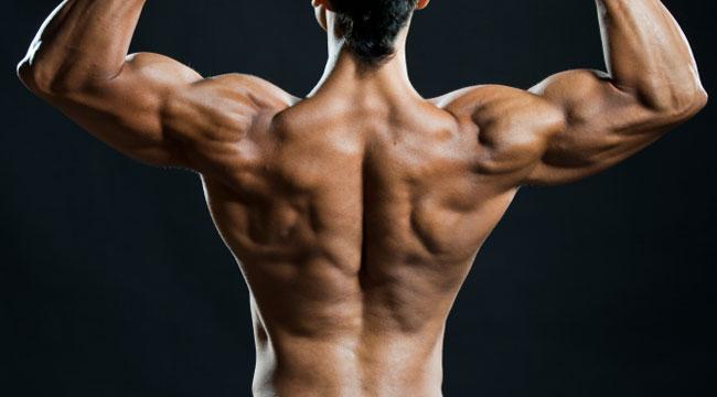 Macam-Macam Otot dan Metode Latihannya