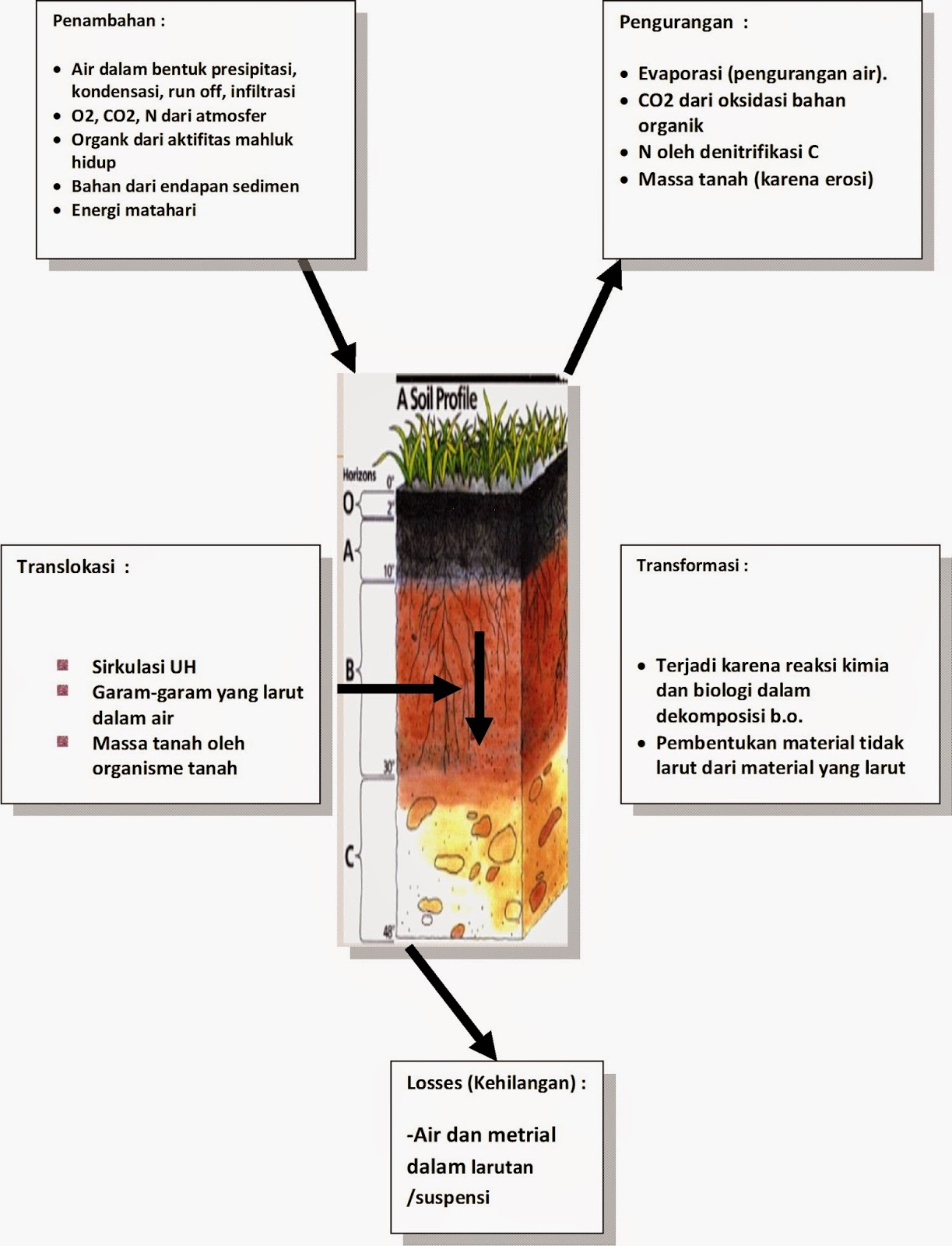 Ride SOIL GEOGRAPHY : MACAM-MACAM PROSES PEMBENTUKAN TANAH