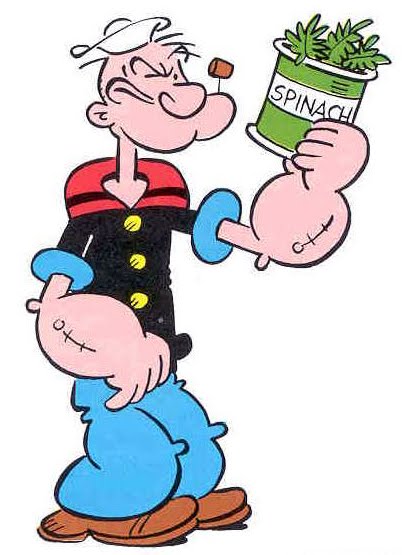 Fanatic Cook: What Food Has...