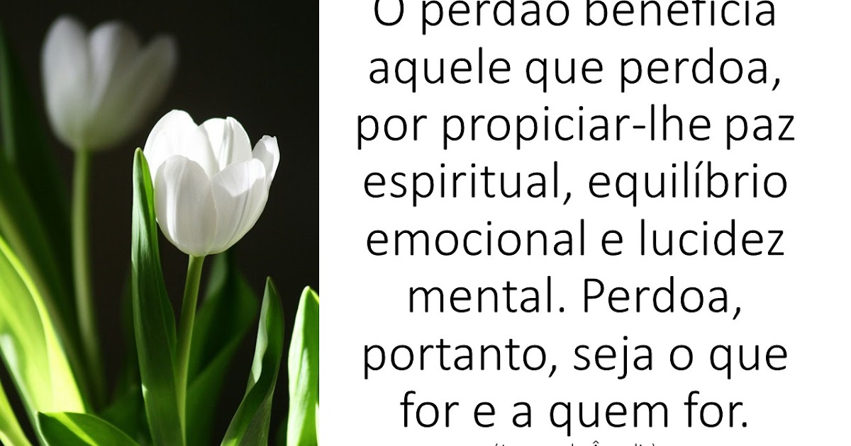 A Mão da Vida: O perdão beneficia aquele que perdoa