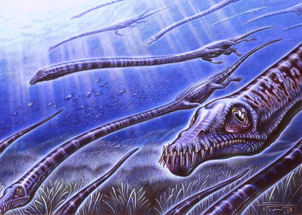 Palaeos, la historia de la Vida en la Tierra: ¿Qué eran esas cosas ...