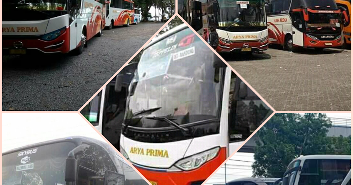Bigbus & medium bus Arya prima