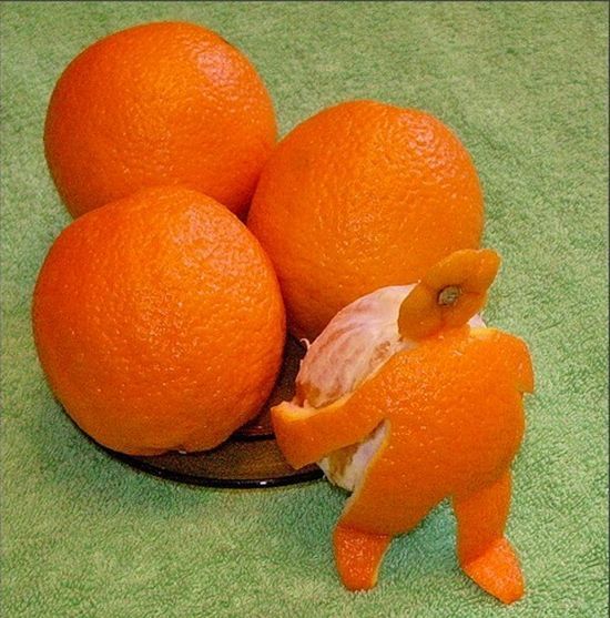 GALLERY FUNNY GAME: funny orange pictures ,Funny Clockwork Orange ...