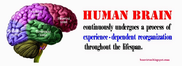 bonvictor.blogspot.com: Maximizing the learning abilities