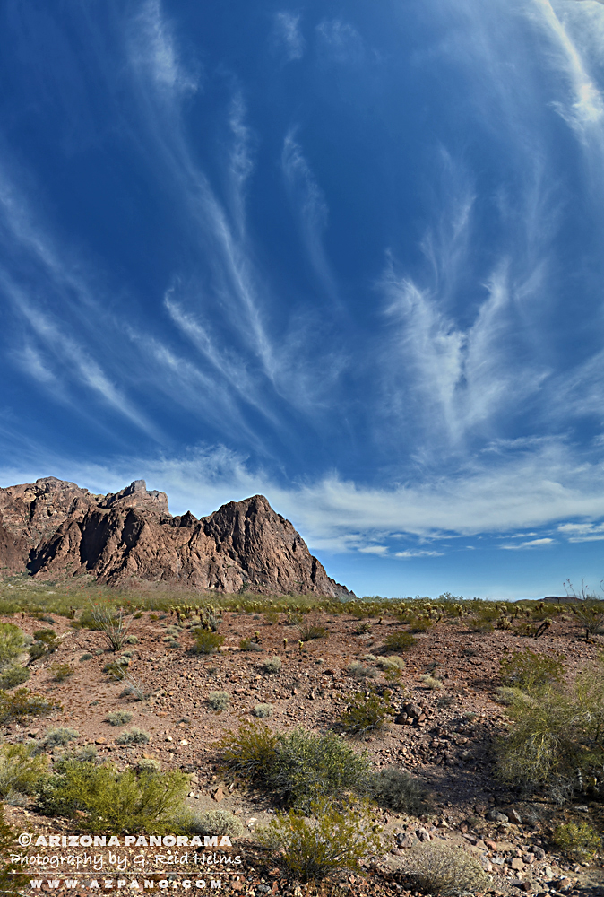 Arizona Panorama: Kofa National Wildlife Refuge
