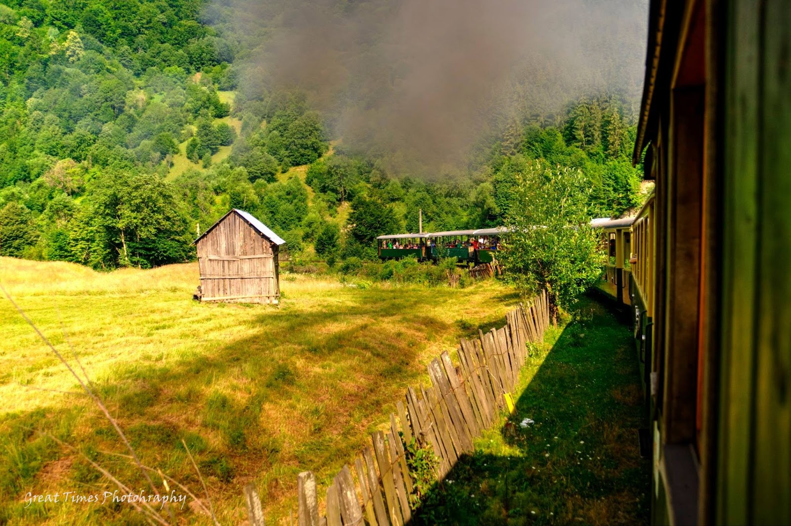 Mocanita - Valea Vaserului, Viseu, Maramures | Great Times Photography