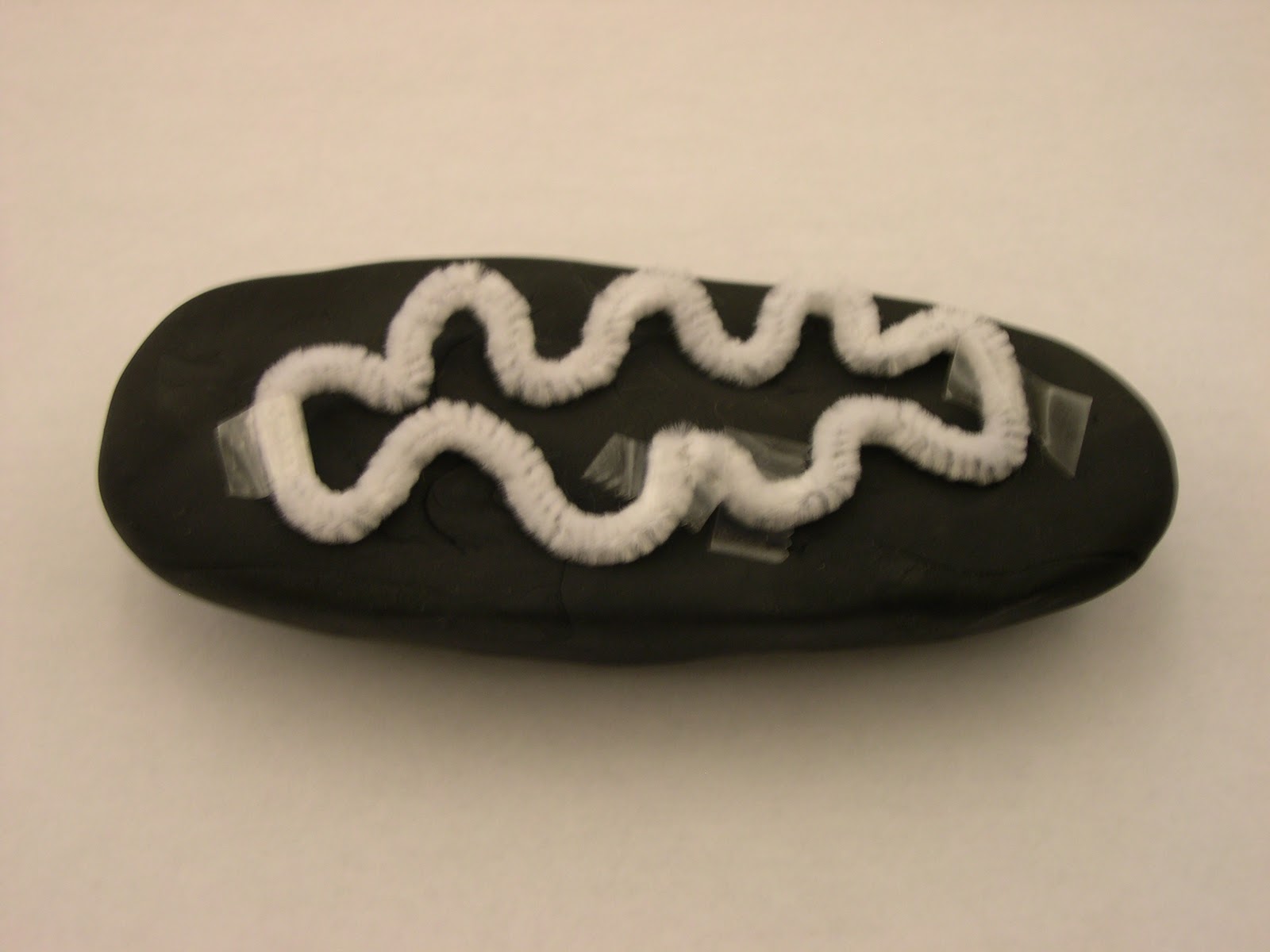 Mitochondria Model Project
