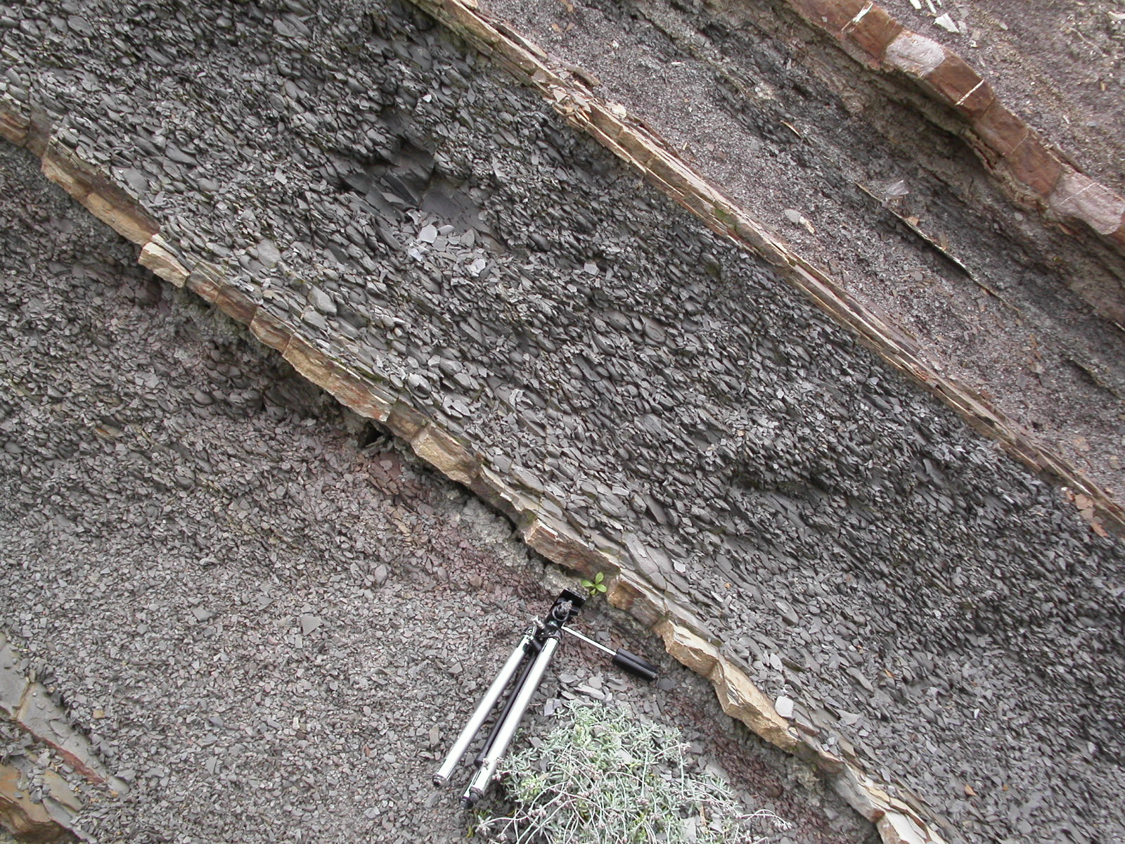 Biologia eta Geologia 4: BARRIKAKO ESTRATU ETA TOLESTURAK (HONDARTZA ...