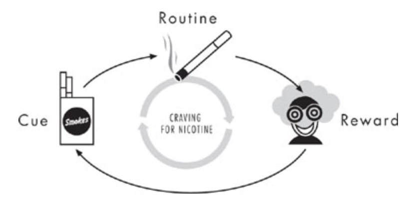 Lesson 30: The Habit Loop!