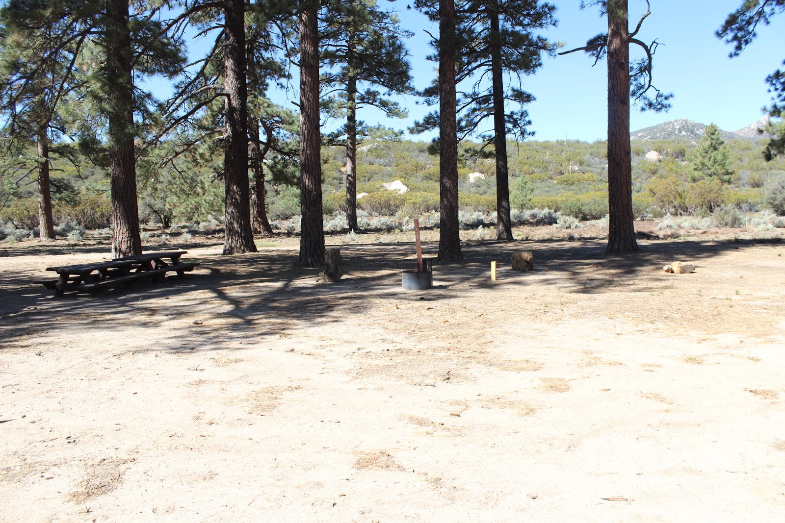 Thomas Mountain Yellow Post Sites - Thomas Mountain Campsites The Dyrt ...