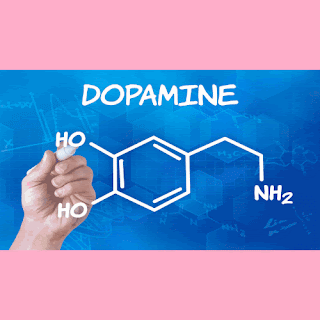 Dopamine is Dope, Whatsapp is Dope, Please Do Not Do Drugs - HIP HOP ...