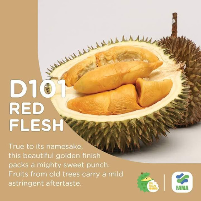 24 Jenis-Jenis Durian Beserta Nombor Code Yang RARE, Jarang Kita Dengar