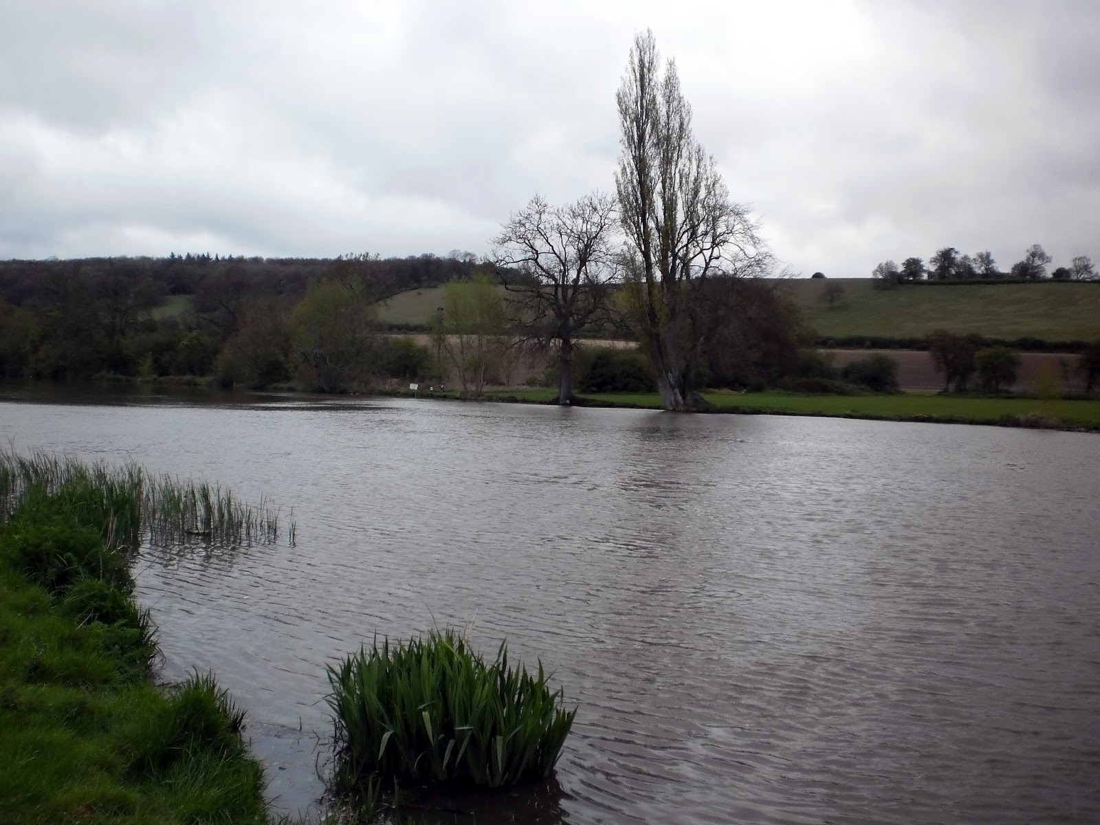 Las rutas de Nu: Thames Path: Reading to Goring