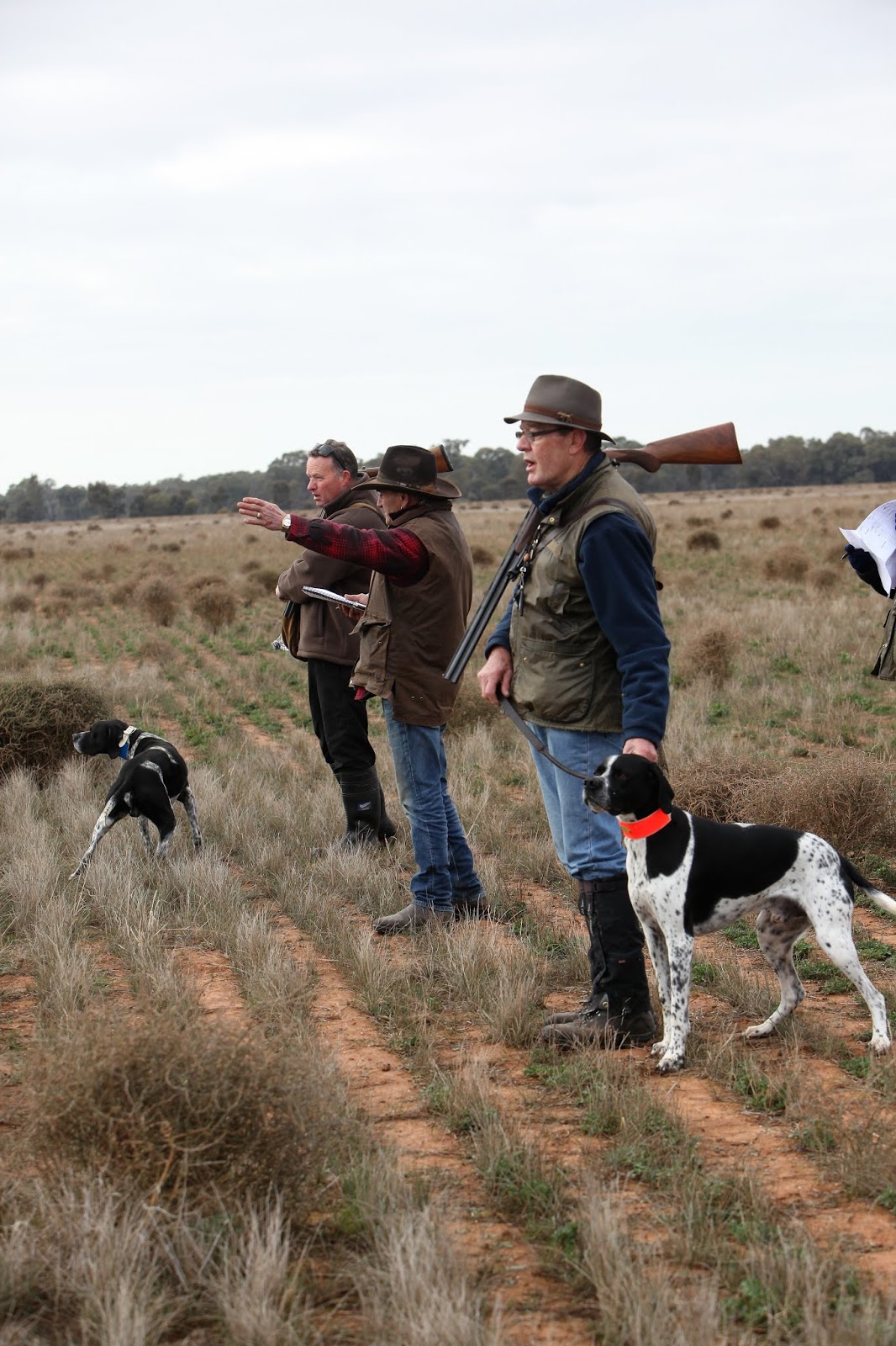 Working Gundog Association of Australia WGAA: National Pointer & Setter ...