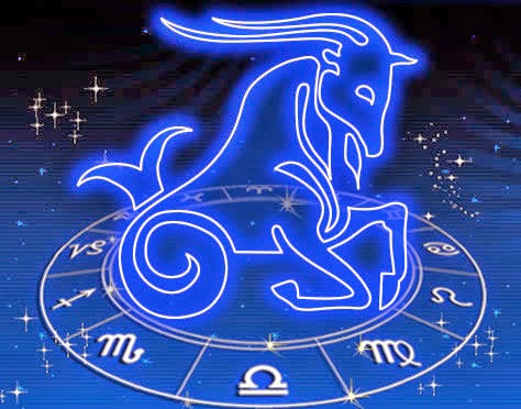 Horóscopos, astrología, videncia y esoterismo : capricornio