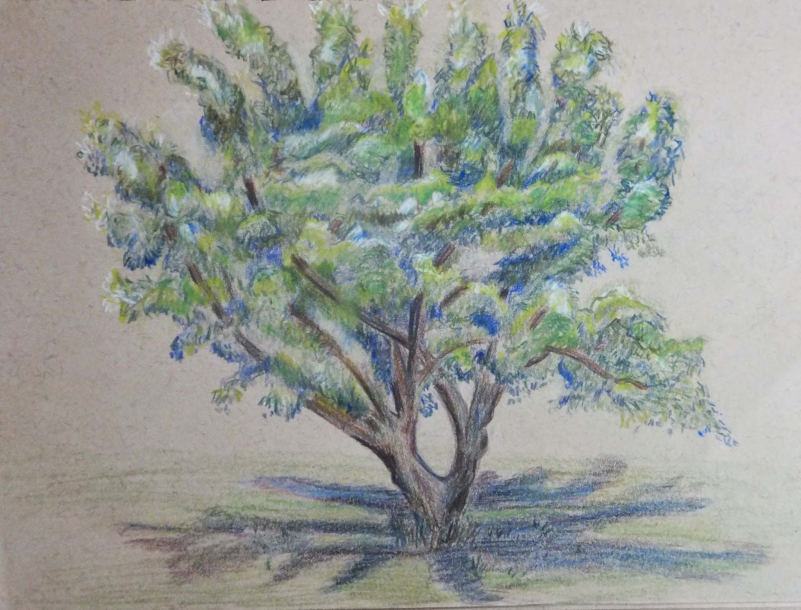 Urban Sketchers Madison