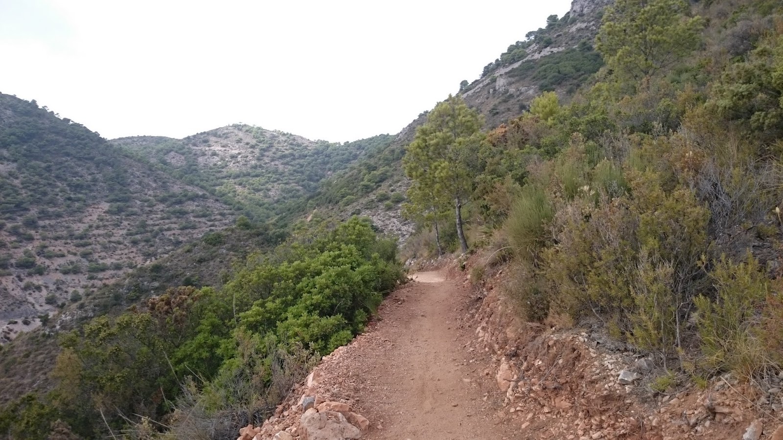 Wikiloc | Ruta Circular Calamorro R-2 y R-1 (Benalmadena, Málaga) (14 ...