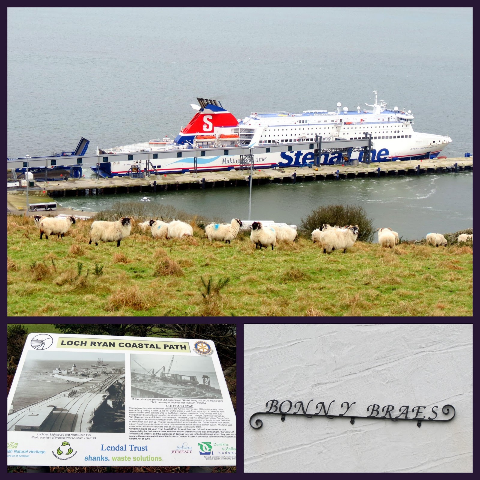 The Glebe Blog: Wigtownshire Rambler Finnarts Bay to Cairnryan January 2013