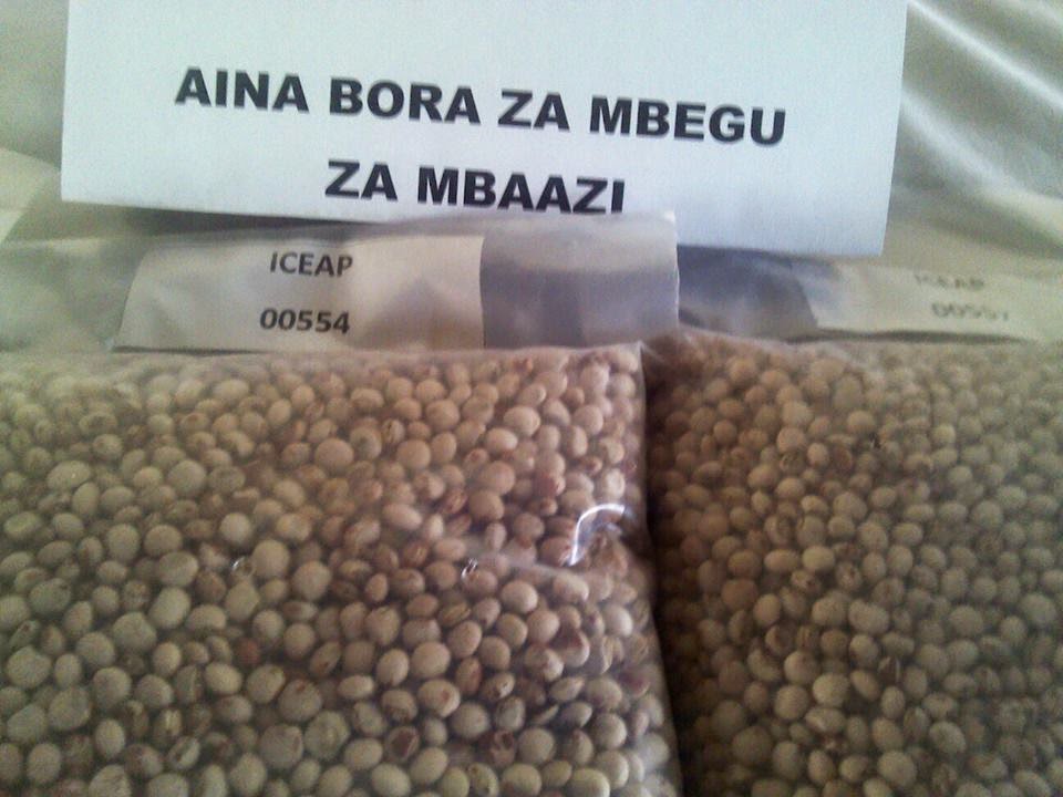 Kangetakilimo: KILIMO CHA MBAAZI NA KANGETAKILIMO