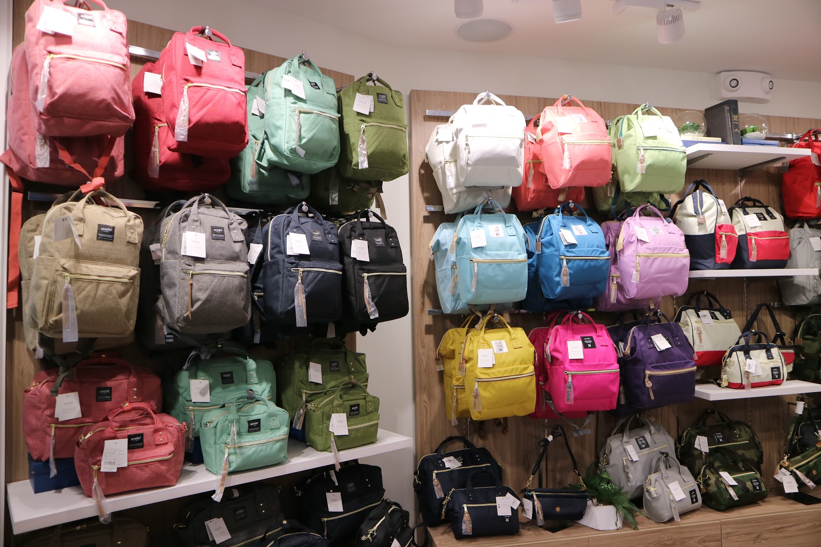 ANELLO in MANILA!♥ - ARTSY FARTSY AVA