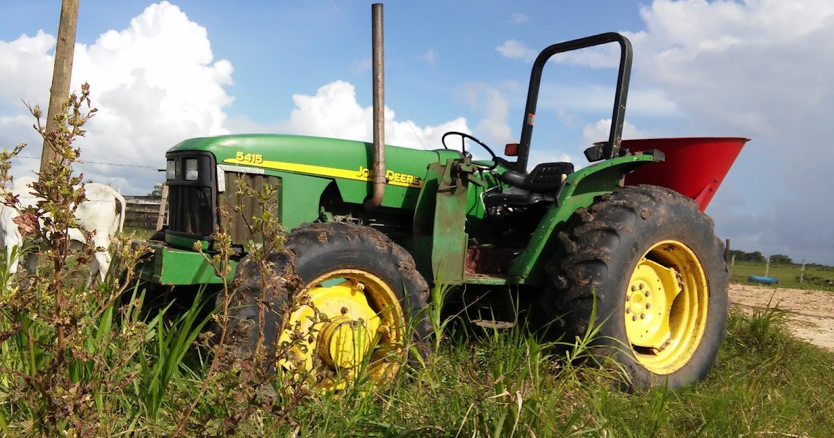 Mennonite Farming in Belize (Crops)