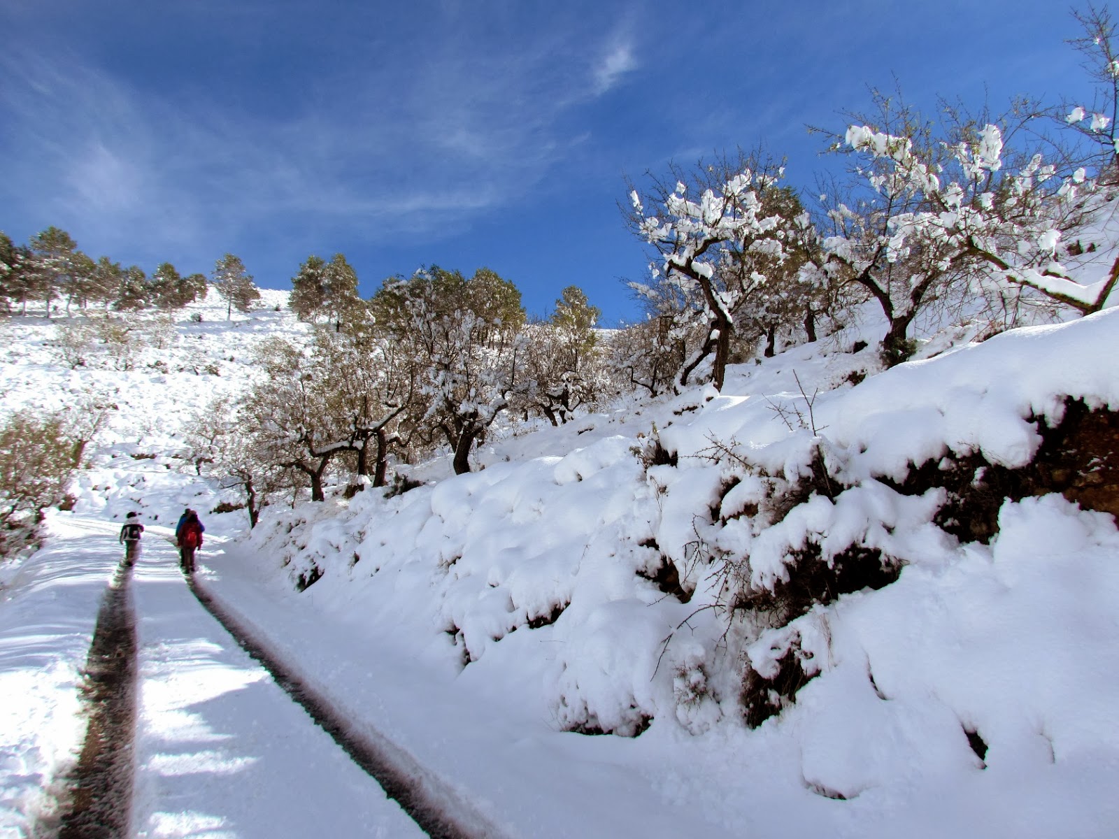 REFLEXIONES: ¡Nieve!