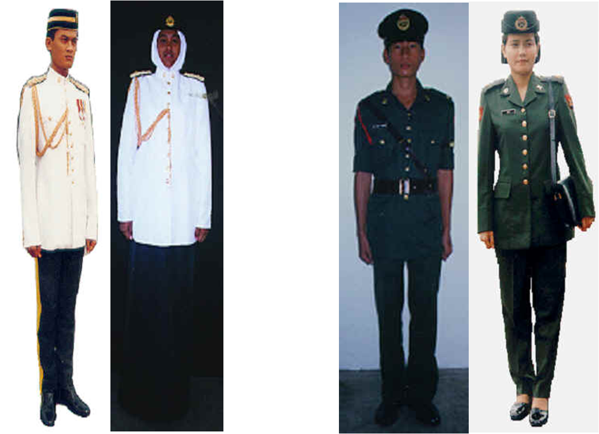 PALAPES UKM: Tatatertib pakaian kadet PALAPES