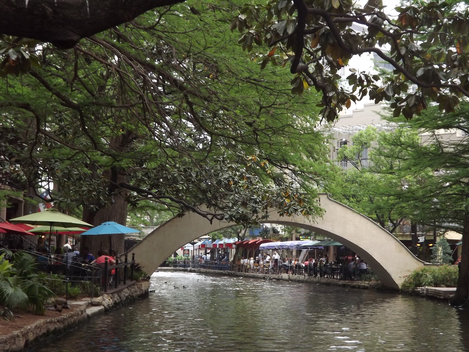 Epinephrine Adventures: Visit to Alamo, River Walk, Natural Bridge ...