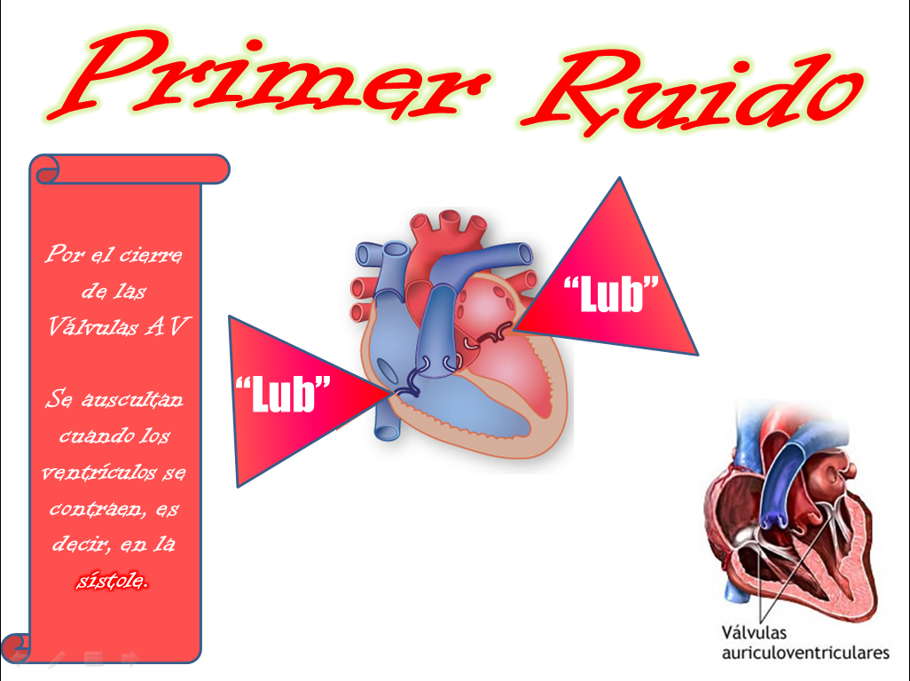 El sabio oirá y aumentará su saber! ♥♥: Ruidos Cardiacos ♥