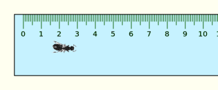 Gifted Mathematics: A Lonely Ant: Lower Secondary Mathematics ...