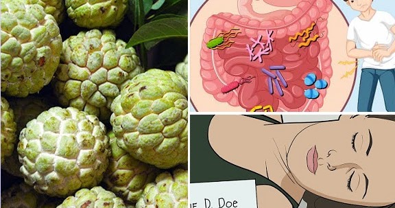 Saan Ginagamit Ang Dahon Ng Atis