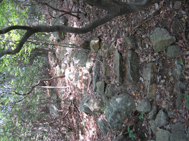 SNAP500: Central District 3 days of hiking