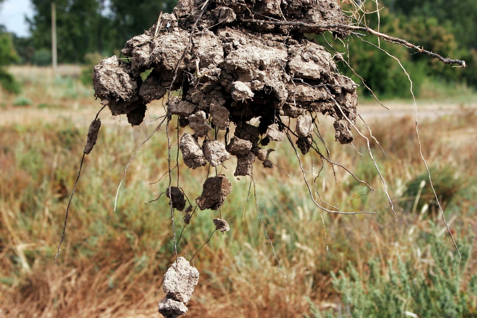 Agregat Tanah Adalah - Perumperindo.co.id