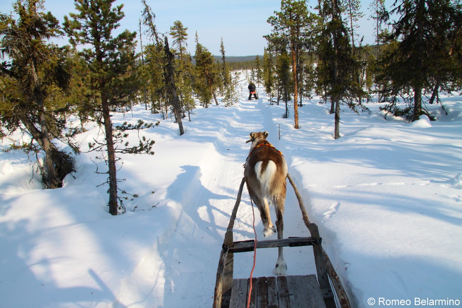 Exciting Outdoor Winter Activities in Sweden’s Lapland | Travel the World