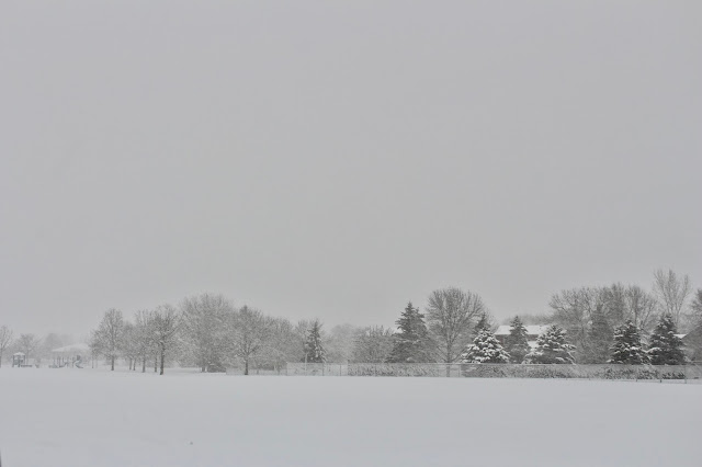 Who will make me laugh: Finally a substantial snow fall... and it's ...