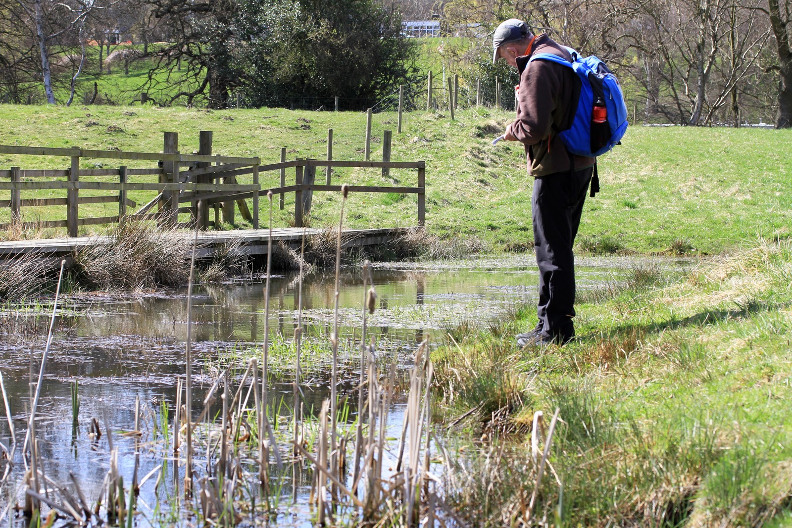 Gibside: Landscape Conservation Volunteers