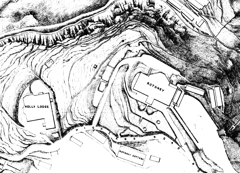 Catching Flies: Tracing some ornithological roots