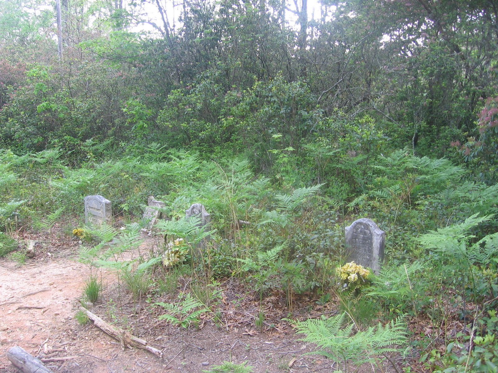 Relaxed Hiking NC: Cemetery Loop Pisgah National Forest 5/21/2011